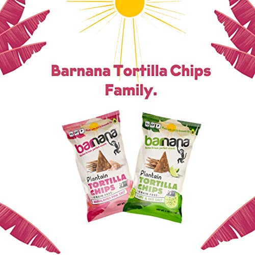 Barnana Grain-Free Plantain Tortilla Chips – Himalayan Pink Salt – 4 Ounce, 1 Pack – Gluten-Free, Corn-Free, Paleo – Golden Brown, Perfect Crunchy Snack - Made With 100% Avocado Oil