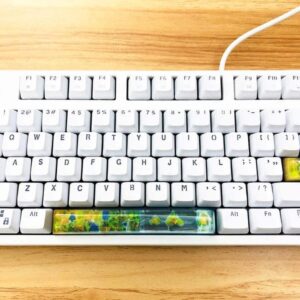 Handmade SA Profile 6.25u Spacebar Backlit Resin Keycap 2.25x Enter R1/ESC Translucent Keyset Hawaii Beach Switch for Cherry RGB MX Mechanical Gaming Keyboards (6.25u Spacebar(1 pcs))