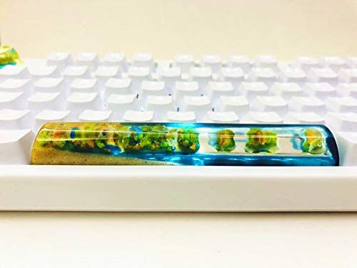 Handmade SA Profile 6.25u Spacebar Backlit Resin Keycap 2.25x Enter R1/ESC Translucent Keyset Hawaii Beach Switch for Cherry RGB MX Mechanical Gaming Keyboards (6.25u Spacebar(1 pcs))