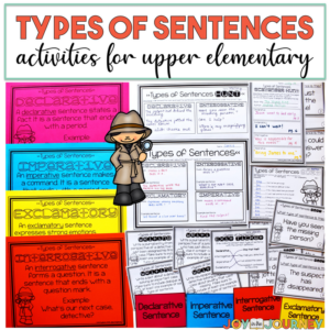 types of sentences activities