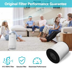 Tredy TD-1300 Air Purifier Replacement Filter, H13 True HEPA, for Pets Hair Smoke Dust Pollen