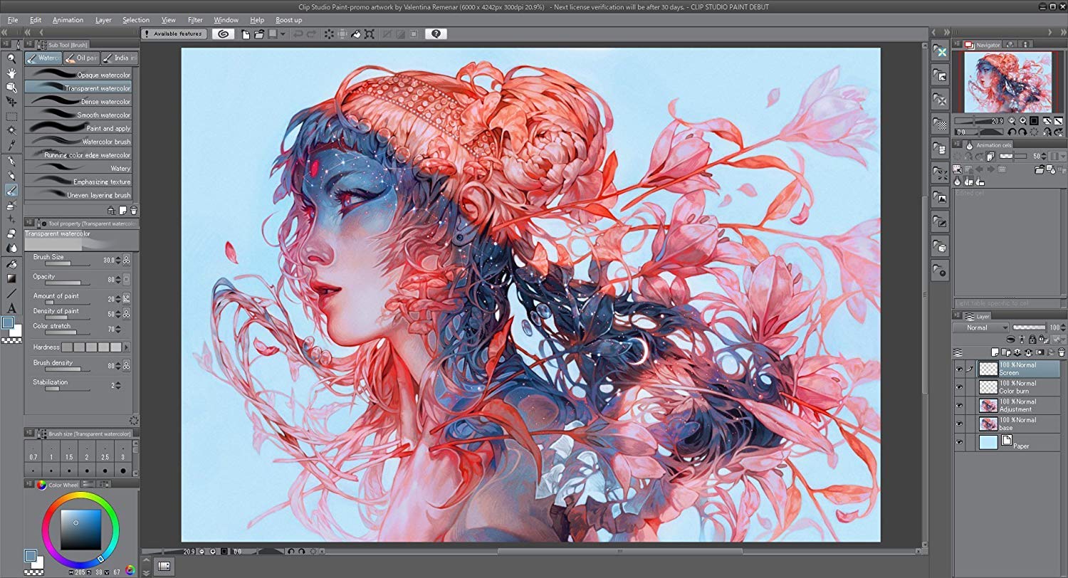 CLIP STUDIO PAINT PRO + TABMATE for GLOBAL Bundle