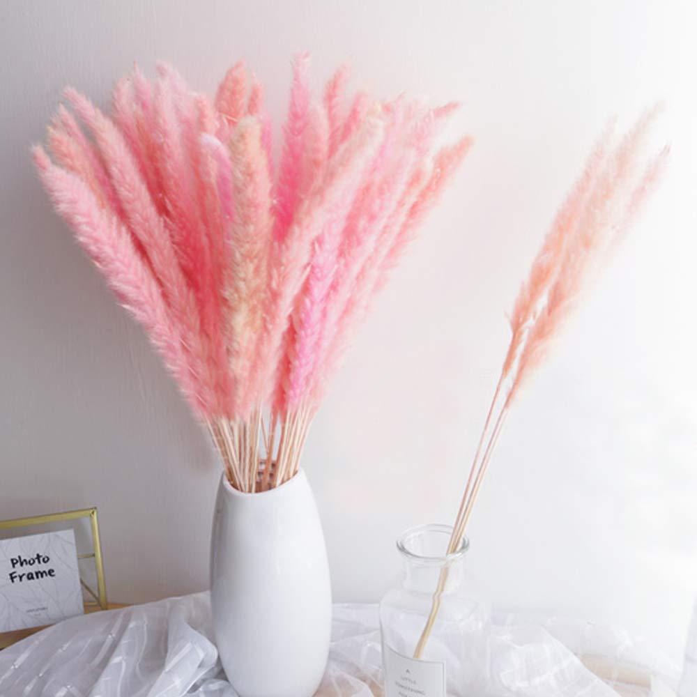 XHXSTORE 30pcs Dried Pink Pampas Grass 17" Natural Small Pompous Grass Fluffy Reed Grass for Home Wedding Party Boho Table Ceterpieces Decor