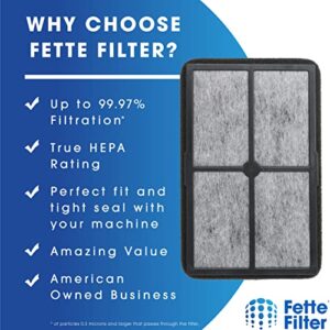 Fette Filter - FLT4010 Replacement Filter Compatible with GermGuardian Filter A for Models AC4010 & AC4020 Series and Black + Decker Model BXAP040 Air Purifiers - Pack of 2