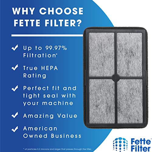 Fette Filter - FLT4010 Replacement Filter Compatible with GermGuardian Filter A for Models AC4010 & AC4020 Series and Black + Decker Model BXAP040 Air Purifiers - Pack of 2