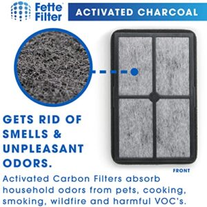 Fette Filter - FLT4010 Replacement Filter Compatible with GermGuardian Filter A for Models AC4010 & AC4020 Series and Black + Decker Model BXAP040 Air Purifiers - Pack of 2