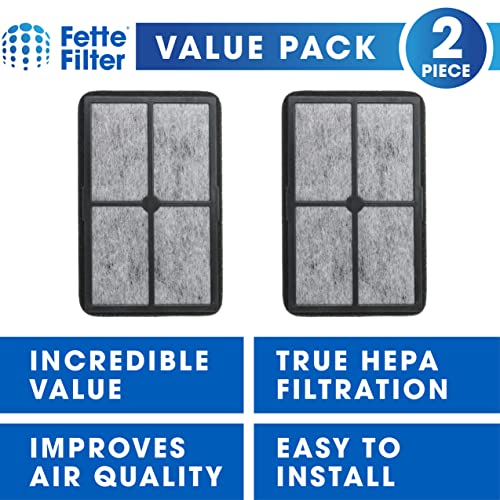 Fette Filter - FLT4010 Replacement Filter Compatible with GermGuardian Filter A for Models AC4010 & AC4020 Series and Black + Decker Model BXAP040 Air Purifiers - Pack of 2