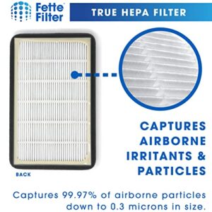 Fette Filter - FLT4010 Replacement Filter Compatible with GermGuardian Filter A for Models AC4010 & AC4020 Series and Black + Decker Model BXAP040 Air Purifiers - Pack of 2