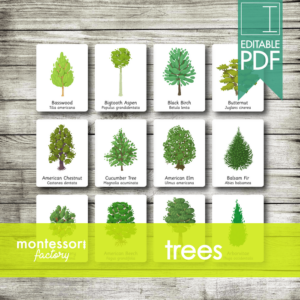 trees • montessori cards • flash cards • three part cards