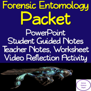 forensic entomology packet