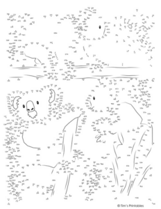 koala extreme dot-to-dot / connect the dots pdf