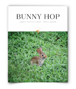 firefly nature school - lesson - bunny hop