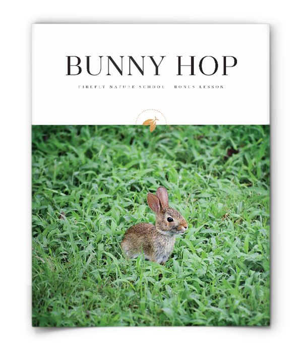 Firefly Nature School - Lesson - Bunny Hop