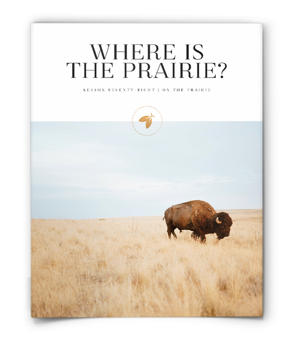 Firefly Nature School - On the Prairie - Lesson - Where is the Prairie?