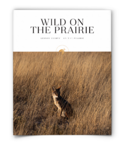 firefly nature school - on the prairie - lesson - wild on the prairie