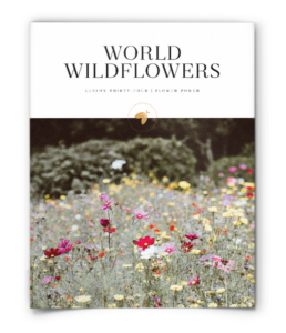 firefly nature school - flower power - lesson - world wildflowers