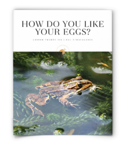 firefly nature school - egg-stravaganza - lesson - how do you like your eggs