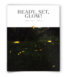 firefly nature school - insects - lesson - ready set glow