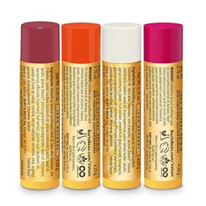 Burt’s Bees Holiday Gift, 4 Lip Balm Stocking Stuffer Products, Beeswax Fruit Set - Pomegranate, Sweet Mandarin, Coconut and Pear & Watermelon (Old Version)