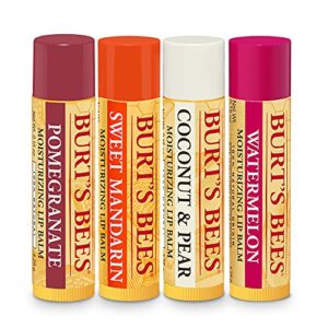 Burt’s Bees Holiday Gift, 4 Lip Balm Stocking Stuffer Products, Beeswax Fruit Set - Pomegranate, Sweet Mandarin, Coconut and Pear & Watermelon (Old Version)