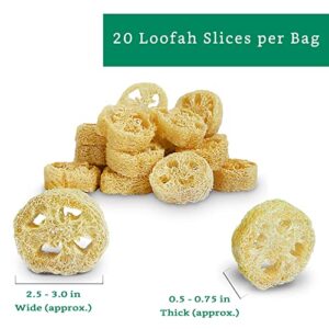 All Natural Loofah Slices for Soap Making (20 Pack) - Real Loofah Slices Cuts - Organic Loofah Bulk - Natural Loofah Sponge - Soap Making Supplies - Natural Luffa Organic Soap Making