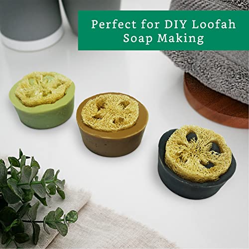 All Natural Loofah Slices for Soap Making (20 Pack) - Real Loofah Slices Cuts - Organic Loofah Bulk - Natural Loofah Sponge - Soap Making Supplies - Natural Luffa Organic Soap Making