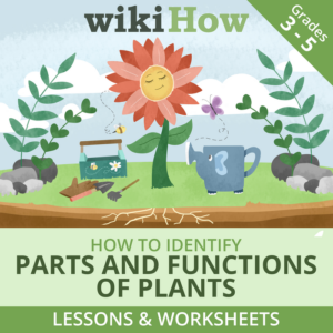 how to identify parts and functions of plants | an introduction to the biology of plants by wikihow