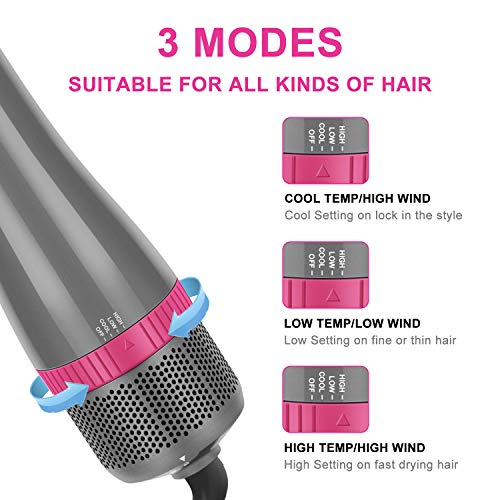 IG INGLAM 4 in 1 Blowout Brush, Negative Ion Detachable Hair Dryer & Styler Volumizer Hot Air Brush with 2 Styling Brush Heads, Silver