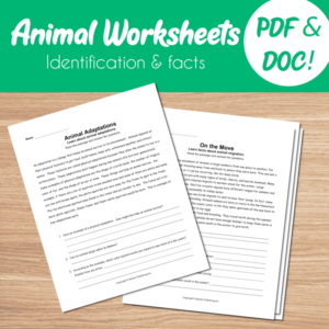 animals worksheets