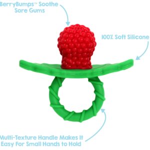 RAZBABY Razbuddy Razberry Teether/Pacifier Holder w/Removable Baby Teether Toy - 0M+ - Bpa Free - Bunny