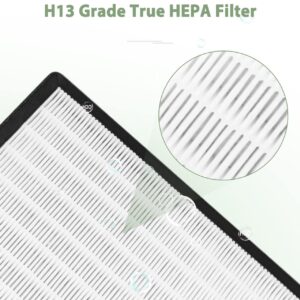 Future Way 2 Set HSP001 Filter Replacement Compatible with HSP001 Smart True HEPA Air Purifier, H13 True HEPA and Activated Carbon Filter