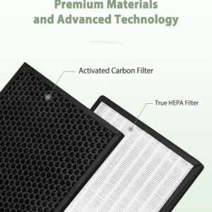 Future Way 2 Set HSP001 Filter Replacement Compatible with HSP001 Smart True HEPA Air Purifier, H13 True HEPA and Activated Carbon Filter