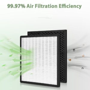 Future Way 2 Set HSP001 Filter Replacement Compatible with HSP001 Smart True HEPA Air Purifier, H13 True HEPA and Activated Carbon Filter