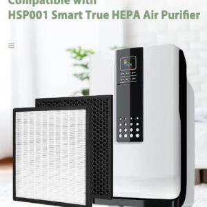 Future Way 2 Set HSP001 Filter Replacement Compatible with HSP001 Smart True HEPA Air Purifier, H13 True HEPA and Activated Carbon Filter