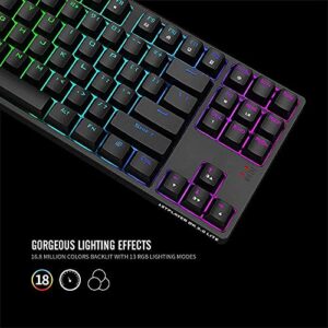 1ST PLAYER TKL RGB Gaming Mechanical USB Wired Keyboard DK5.0 LITE with Cherry MX Blue Switches Equivalent, Compact 87 Keys Tenkeyless LED RGB Backlit Computer Laptop Keyboard for Windows PC Gamers