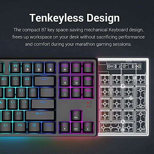 1ST PLAYER TKL RGB Gaming Mechanical USB Wired Keyboard DK5.0 LITE with Cherry MX Blue Switches Equivalent, Compact 87 Keys Tenkeyless LED RGB Backlit Computer Laptop Keyboard for Windows PC Gamers