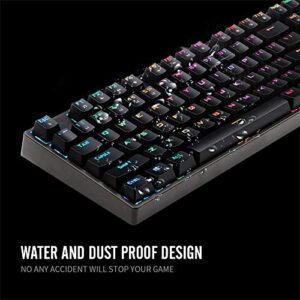 1ST PLAYER TKL RGB Gaming Mechanical USB Wired Keyboard DK5.0 LITE with Cherry MX Blue Switches Equivalent, Compact 87 Keys Tenkeyless LED RGB Backlit Computer Laptop Keyboard for Windows PC Gamers