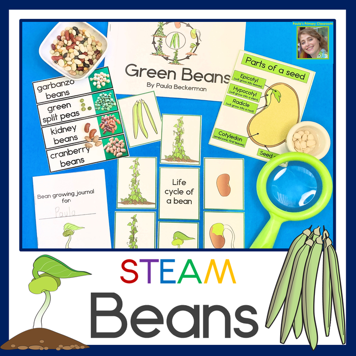 Beans STEM / STEAM activities and life cycle