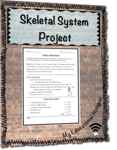 skeletal system project