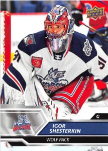 2019-20 upper deck ahl #24 igor shesterkin rc rookie hartford wolf pack hockey trading card