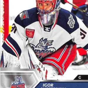 2019-20 Upper Deck AHL #24 Igor Shesterkin RC Rookie Hartford Wolf Pack Hockey Trading Card