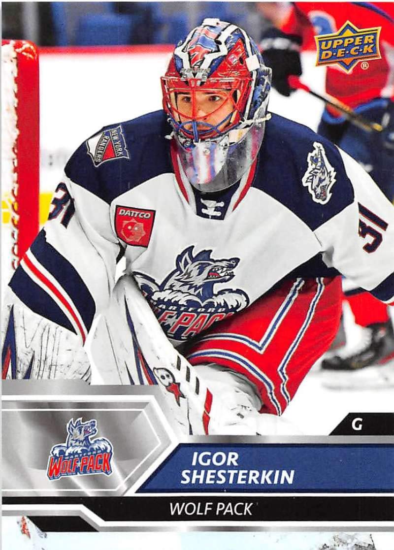 2019-20 Upper Deck AHL #24 Igor Shesterkin RC Rookie Hartford Wolf Pack Hockey Trading Card