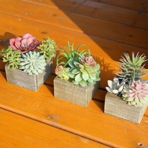 Mingfuxin Artificial Succulents Plants, Mini Assorted Green Fake Plants in Pots, Small Succulents Plants Artificial with Wood Potted for Bathroom Home Office Living Room Table Decor Indoor, Set of 3