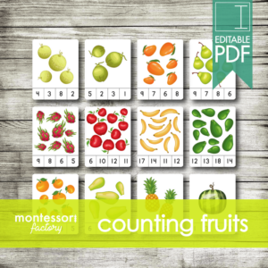 counting fruits • numbers 1 to 20 • montessori counting cards • clip cards • editable pdf