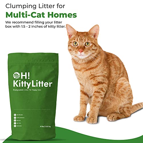 Oley Hemp Cat Litter - 4 Pounds