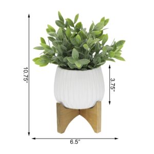 Flora Bunda Artificial Plant Tea Leaf in 5 in Ridge Ceramic Pot on Wood Stand,Matte White