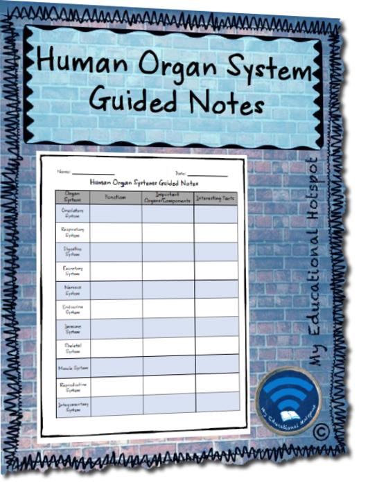 Human Organ Systems Guided Notes