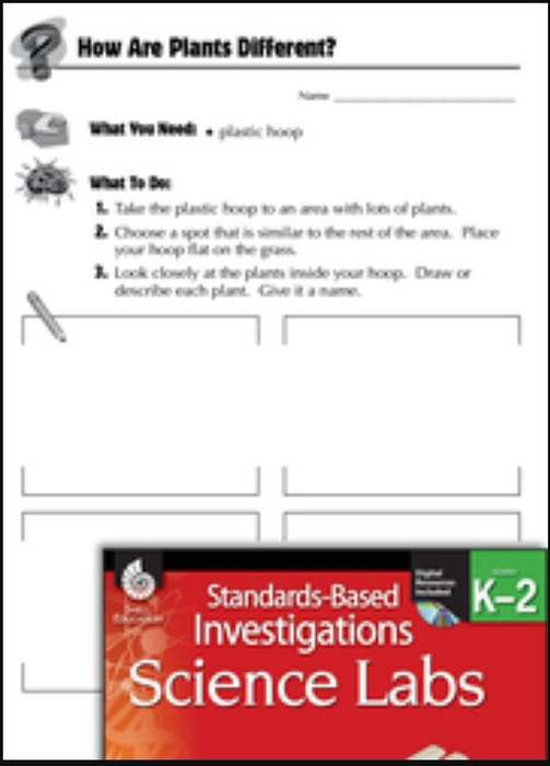 Quick Science Lab: How Can I Group Rocks