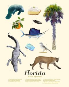 wunderkammer studio florida state symbols poster print - florida wall art - house home décor - housewarming gift - 8 x 10 unframed art print