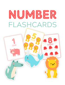 number flashcards